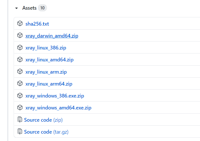 使用xray进行被动扫描_xray 被动代理-CSDN博客