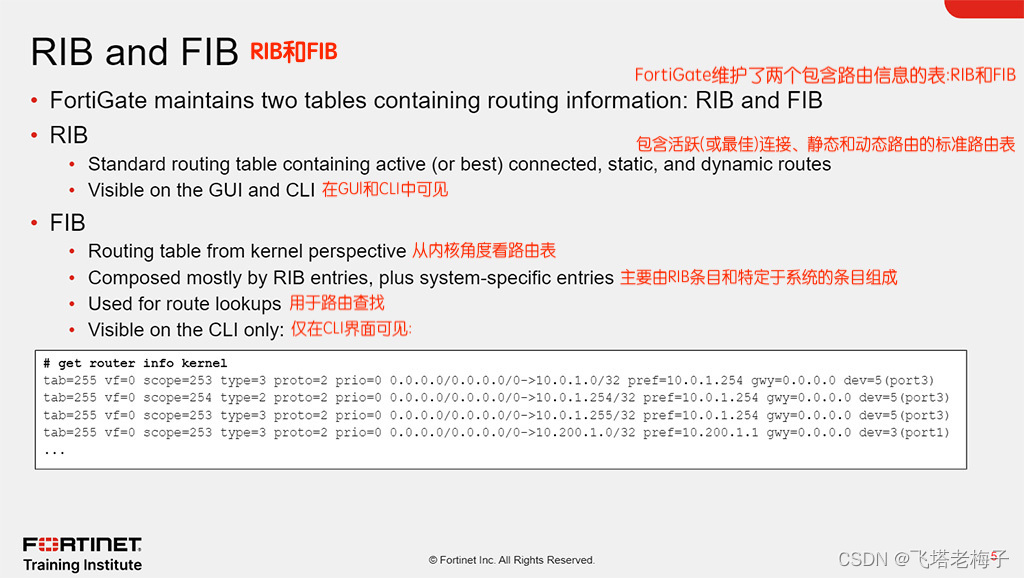 教程篇(7.2) 12. 路由 & FortiGate基础设施 Fortinet网络安全专家 NSE4_isdb流量分离-CSDN博客