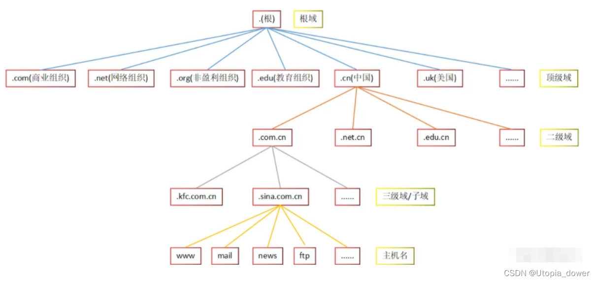 Linux中DNS域名解析服务_anolis linux 域名解析服务-CSDN博客