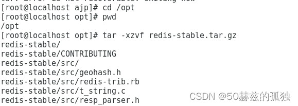 虚拟机（VMware）Linux系统（Centos）安装Redis教程_在虚拟机上运行redis需要安装前置什么-CSDN博客