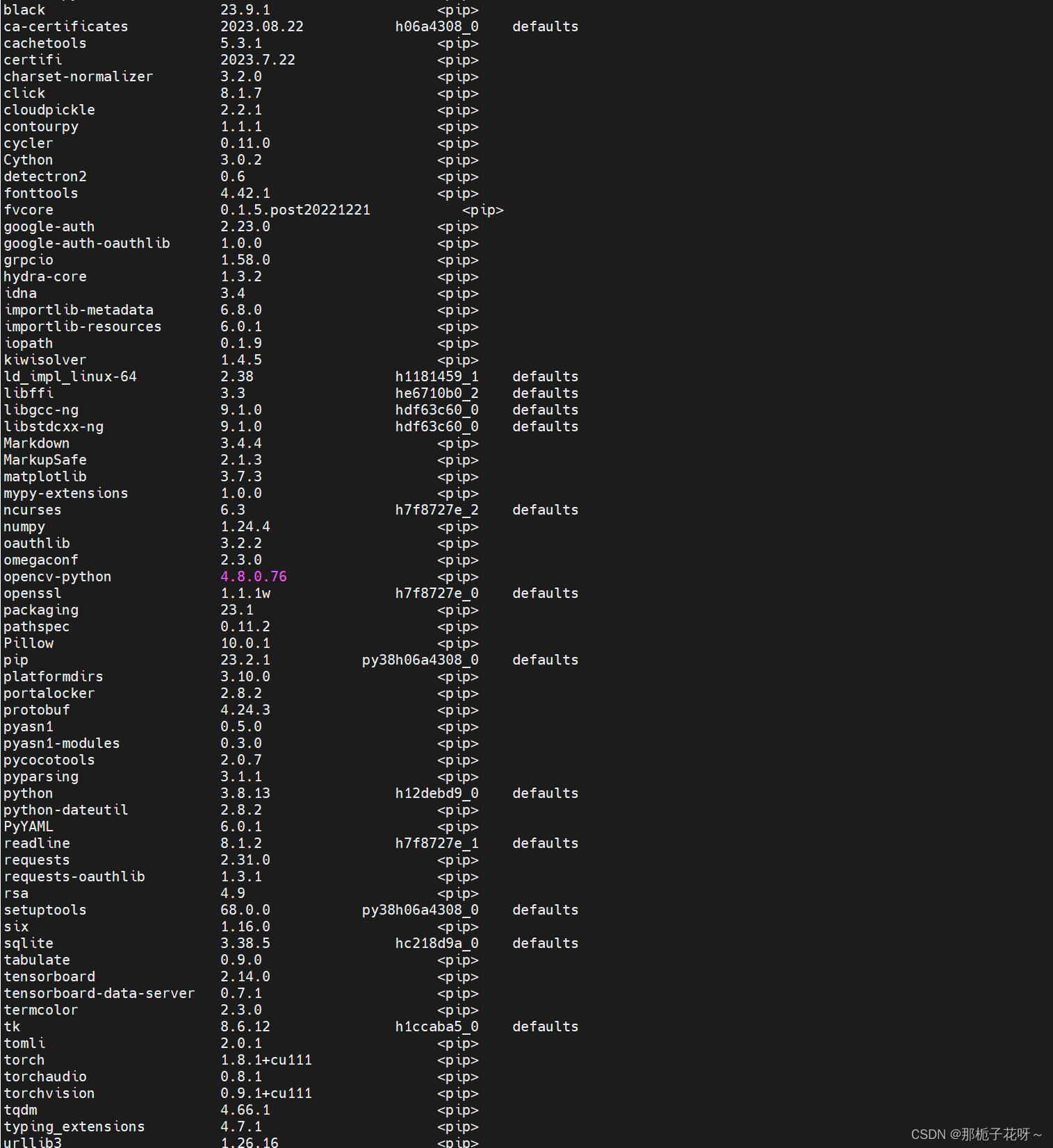 detectron2安装_torch1.10.0+cu111对应的detectron2的版本-CSDN博客