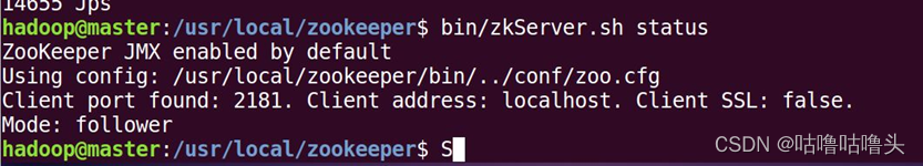 zookeeper下载安装 和 在Ubuntu虚拟机集群搭建-CSDN博客