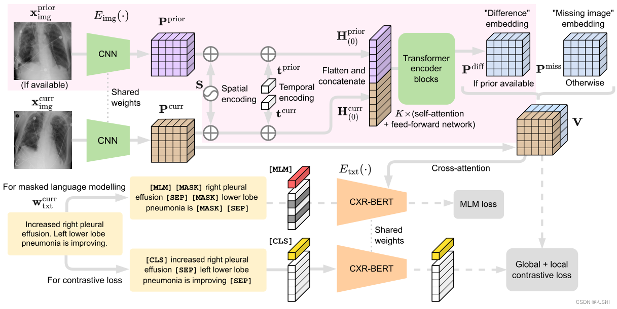 Learning to Exploit Temporal Structure for Biomedical Vision–Language Processing（未完）-CSDN博客
