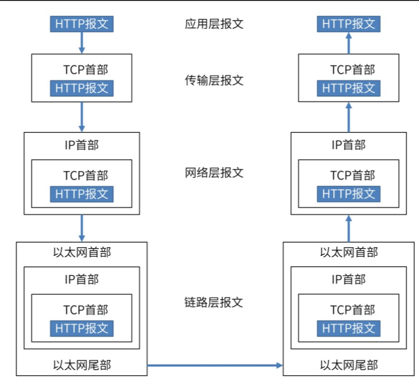 网络编程基础 Csdn博客