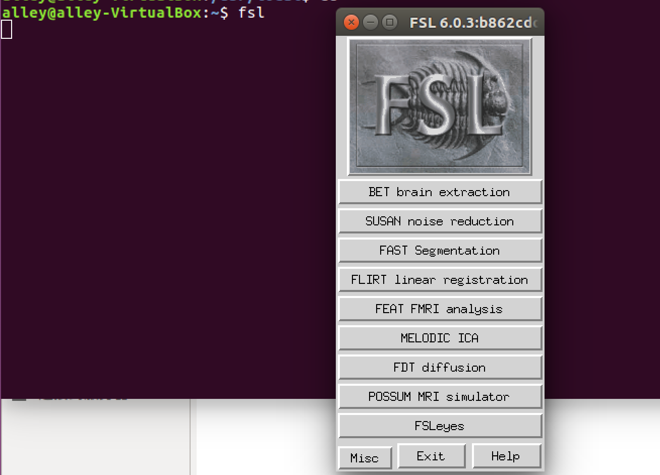 Ubuntu安装脑影像处理软件FSL_fsleyes-latest-ubuntu-CSDN博客