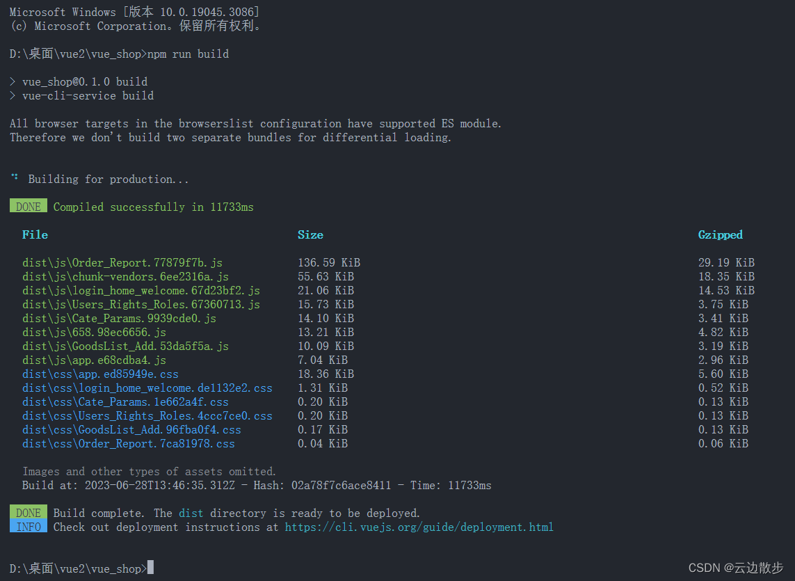 vue2项目打包dist文件后如何部署访问（本地部署和网络部署）_前端dist文件怎么部署-CSDN博客