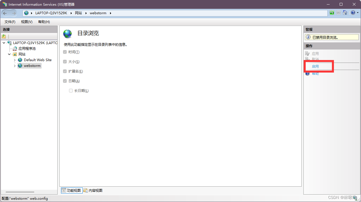win11系统前端IIS部署发布网站步骤-CSDN博客