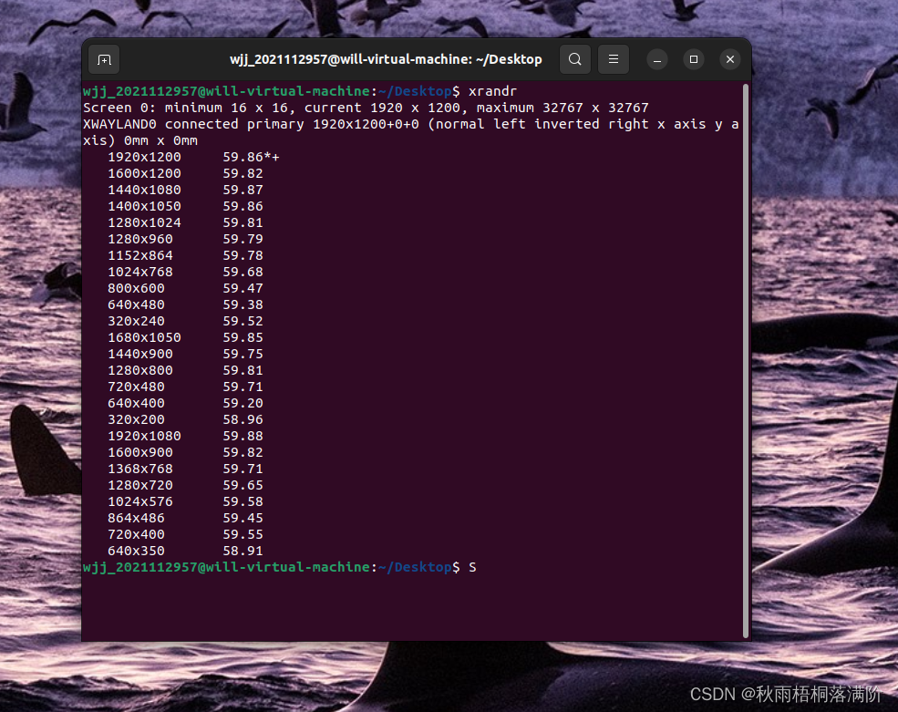 在ubuntu里面设置分辨率_ubuntu设置分辨率-CSDN博客