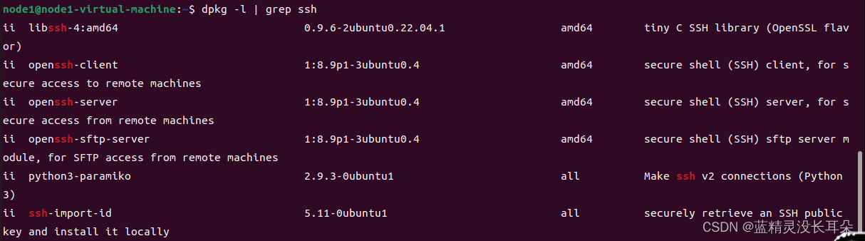 Remote-SSH_remote ssh-CSDN博客