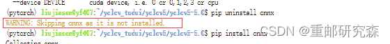 ONNX export failure: No module named ‘onnx‘_torch.onnx.errors.onnxexportererror: module onnx i ...