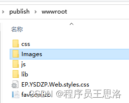 asp.net core MVC IIS网站无法加载背景图_iis 背景图片不展示-CSDN博客