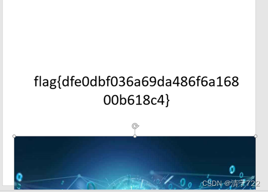 polarctfD&N cat flag_polarctf cat flag-CSDN博客