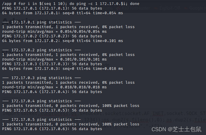 从WEB到docker逃逸到内网横向，打靶经验分享。_nothing was ran. input some code to exec()-CSDN博客