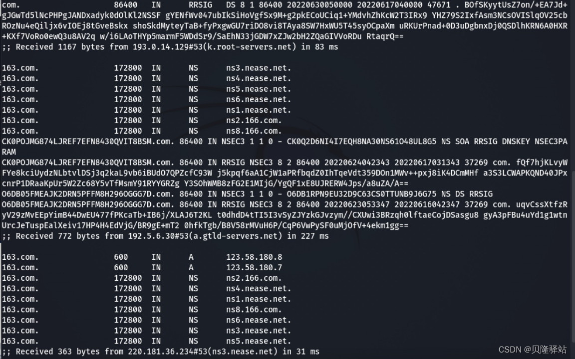 DNS信息搜集方法_通过dig查询bind版本-CSDN博客