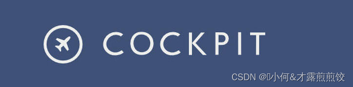 @Linux Web-UI服务管理工具（CockPit）_linux cockpit-CSDN博客