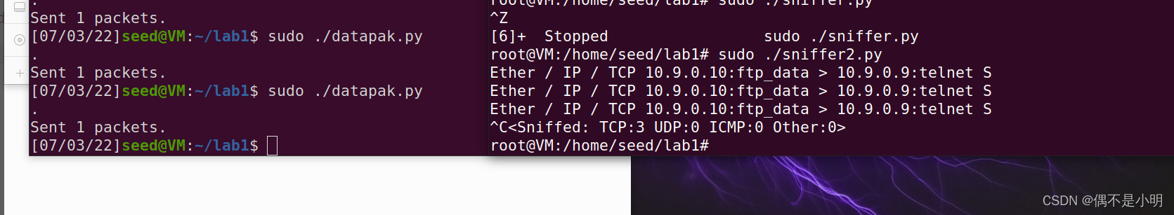 Lab1 Packet Sniffing and Spoofing Lab-CSDN博客