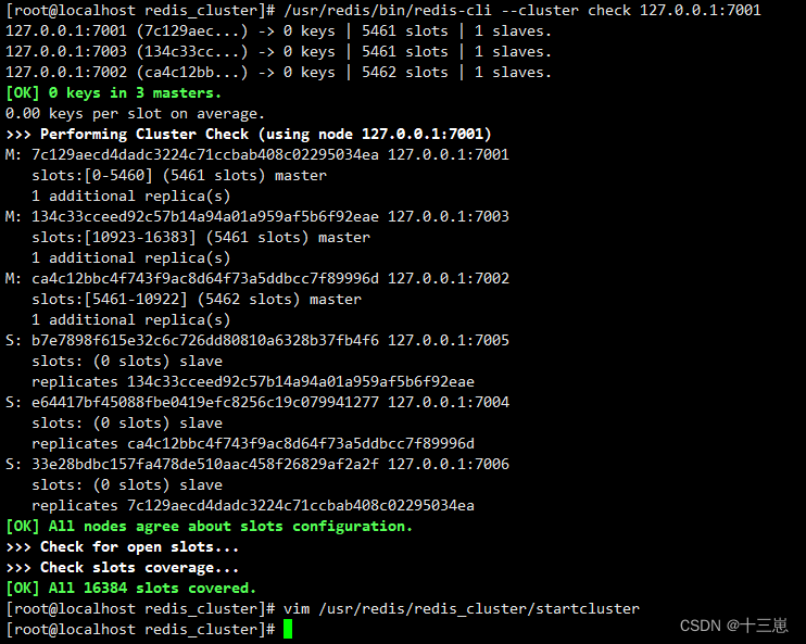 Linux系统搭建Redis虚拟集群_linux,安装nodes集群-CSDN博客
