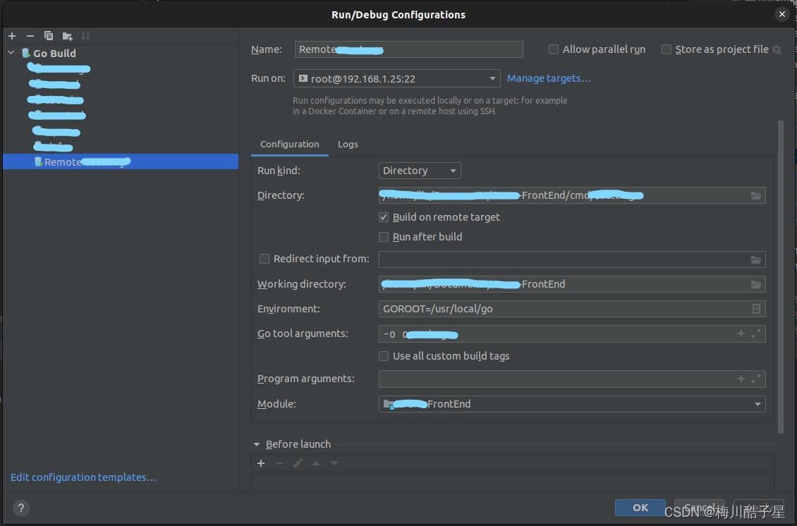 Goland 远程开发配置详细步骤（远程构建+远程调试）-CSDN博客