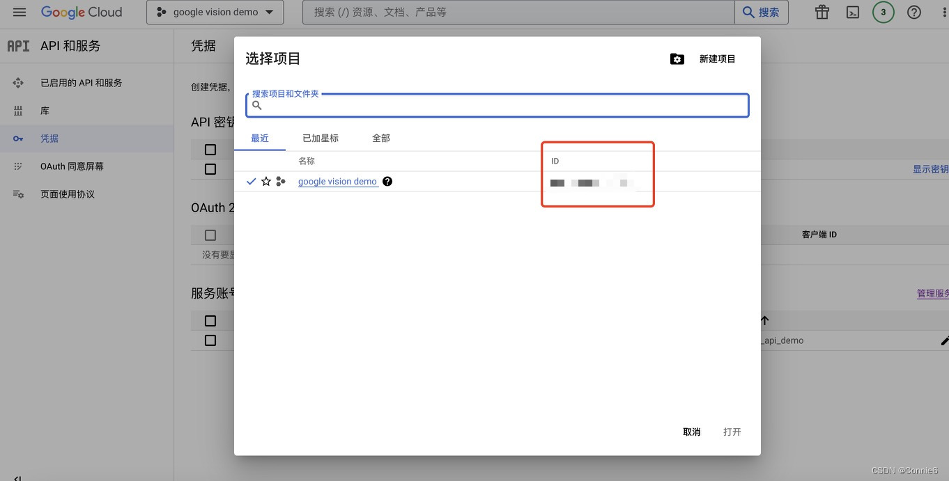 Google Vision API 创建及调用 for mac_google cloud vision api-CSDN博客