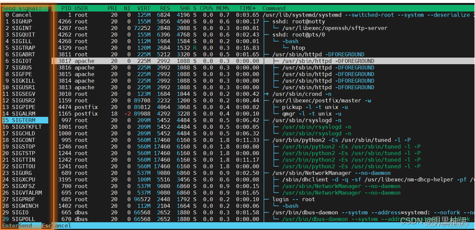 【Linux】htop命令的使用详解_htop命令详解-CSDN博客