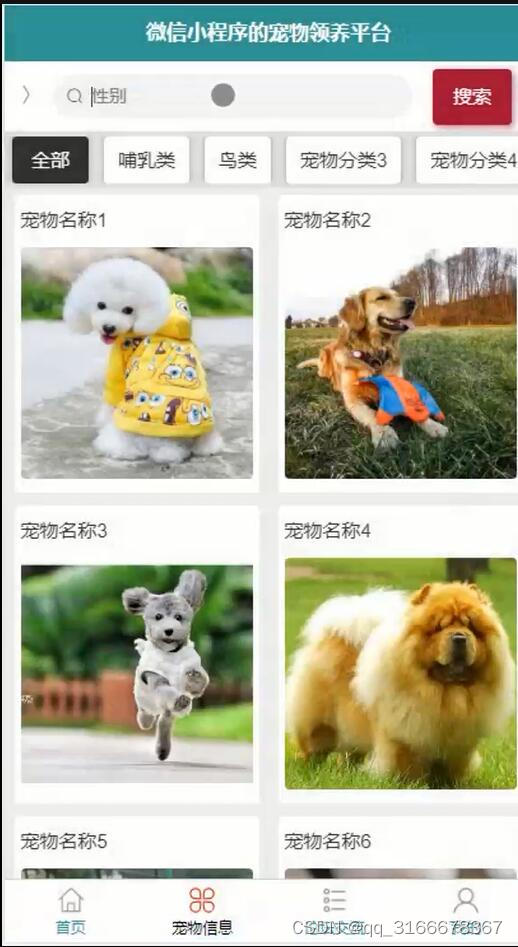 微信小程序的宠物领养平台zjtev Csdn博客 