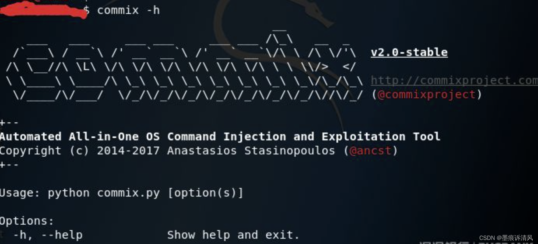 commix 命令注入获取信息 （好东西）_commix 1.2-CSDN博客