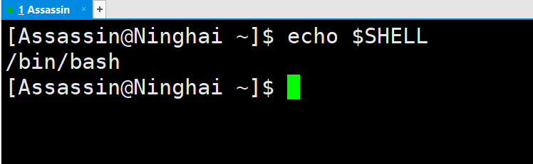 【linux系统编程】剖析shell运行原理_命令解释器myshell实验原理-CSDN博客