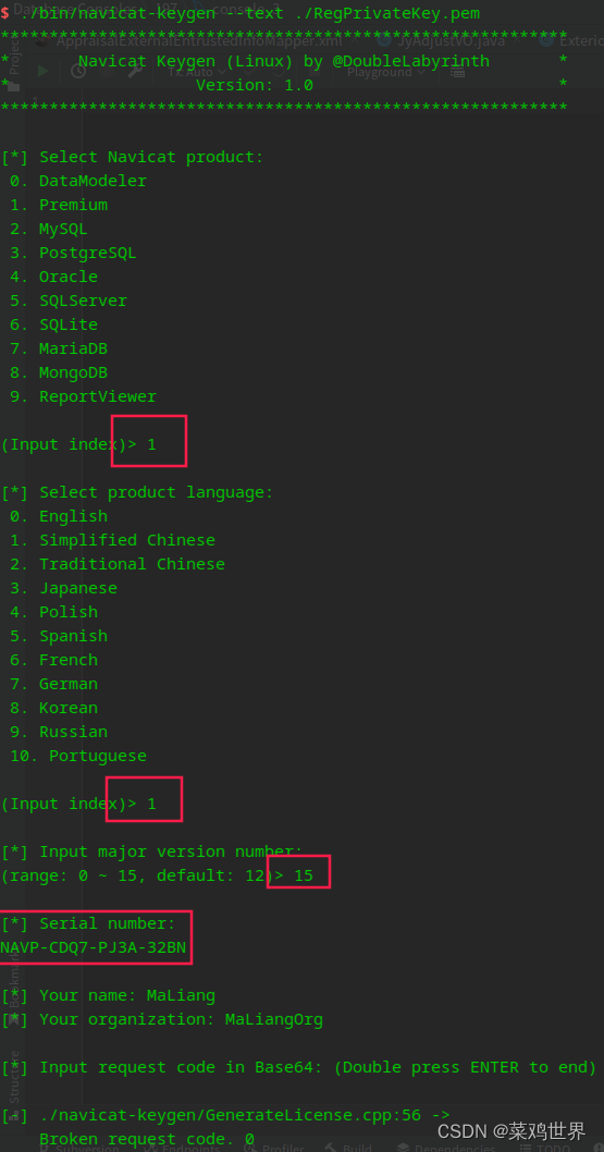 Deepin系统navicat15安装_navicat15-premium-cs.appimage-CSDN博客