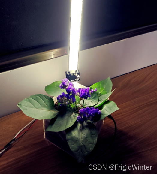 智慧家居·万物互联:我的智能花盆diy之旅esp32基于esp32的智能花盆 Csdn博客 1684