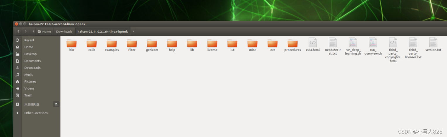 Halcon的Hpeek工具在arm上的试用说明_halcon arm-CSDN博客