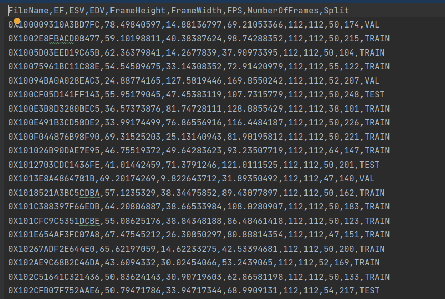 医学心脏数据集分割建模实战_echonet-dynamic数据集下载-CSDN博客