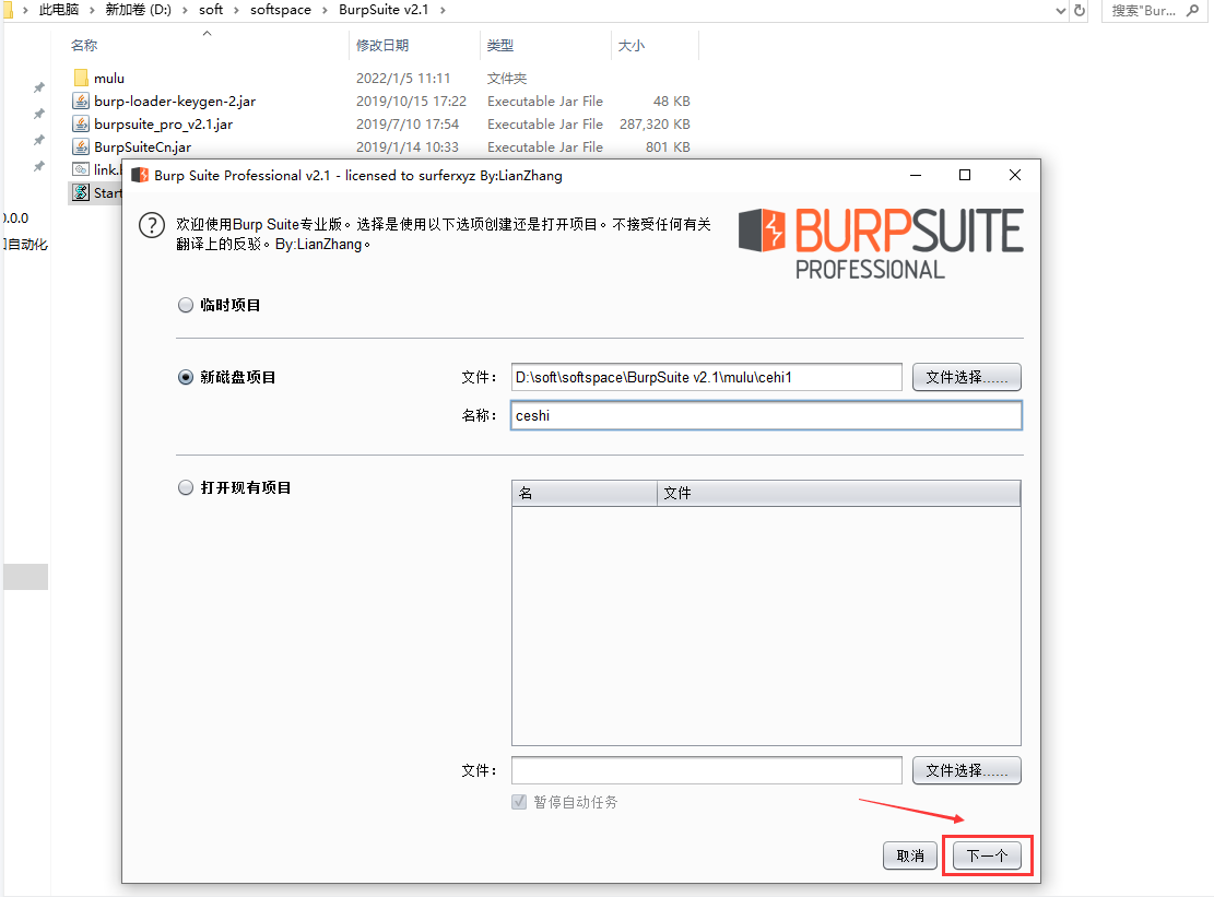 Burp Suite Professional 2020保姆级详细安装手册-CSDN博客