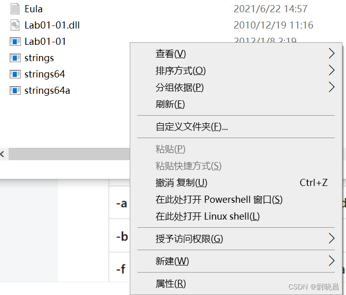 Chapter1 静态分析技术 04字符串搜索 Strings工具 Strings下载 Csdn博客