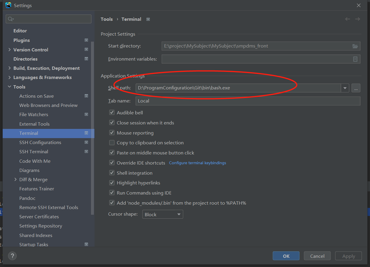 WebStorm安装lightningChart时报错_npm err! arg argument starts with non-ascii dash, -CSDN博客