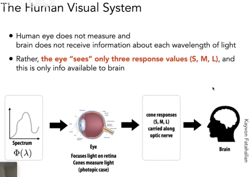 Games101笔记——Lecture 20:Color and Perception_games101 color and perception-CSDN博客