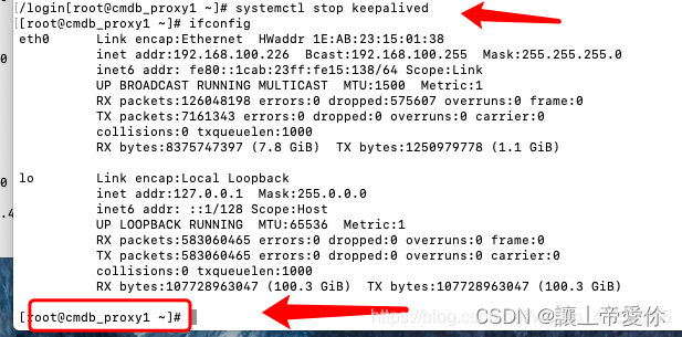 keepalived实现双vip部署_keepalived配置多个vip-CSDN博客