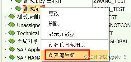 SAP BW处理链创建运行_sap bw 处理链-CSDN博客