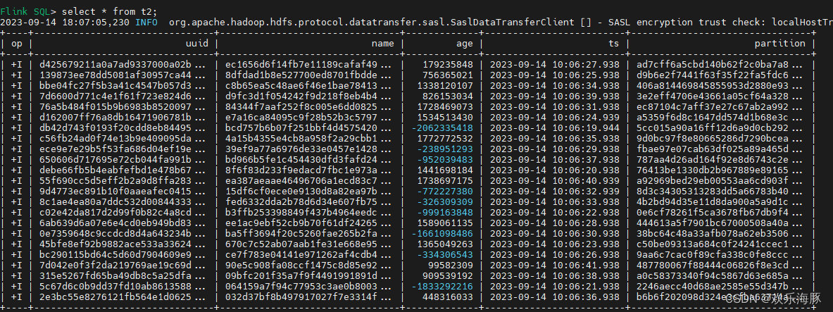 Hudi集成Flink_clustering.schedule.enabled-CSDN博客
