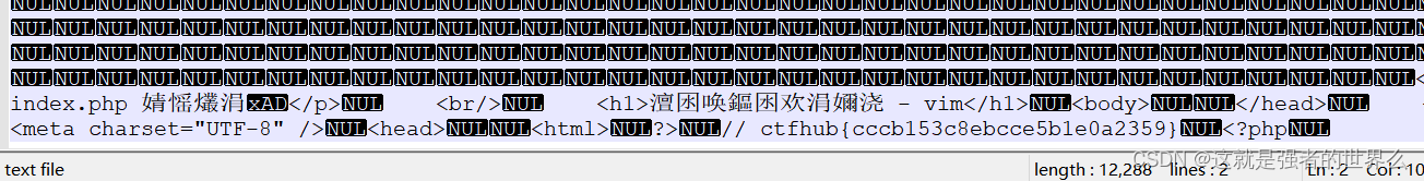 CTFHUB-web-信息泄露/备份文件下载_海伦 vim ctf web-CSDN博客