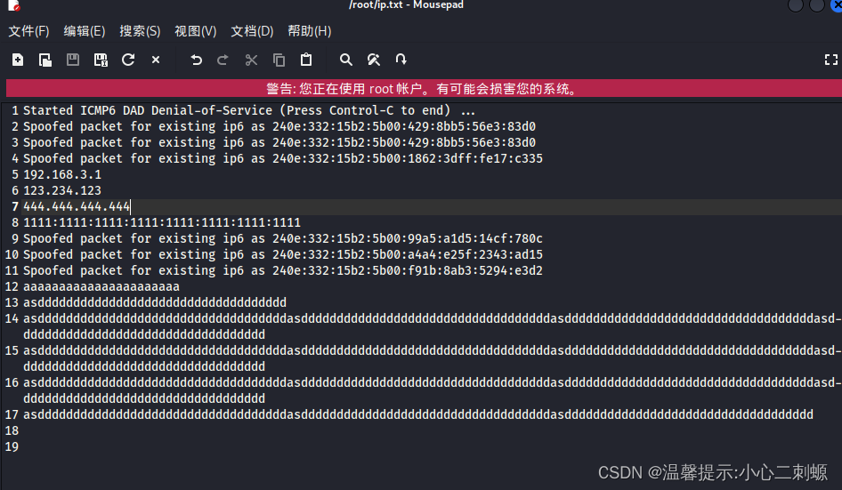 Thc-Ipv6 使用-CSDN博客