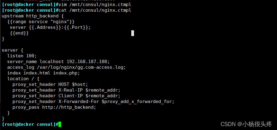 Consul（注册中心）部署_consul部署-CSDN博客