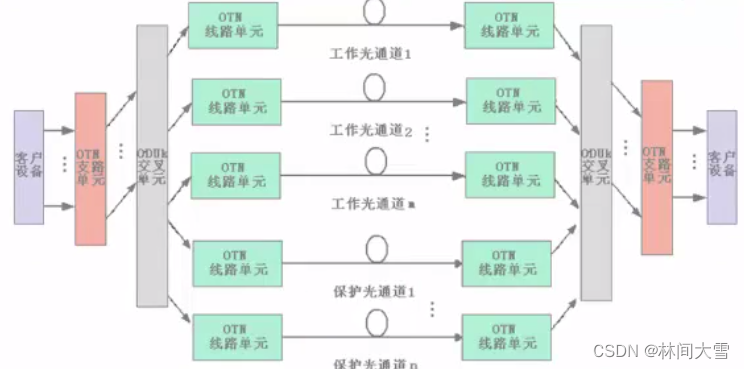 OTN电层的保护&SNCP保护详解_vc sncp-CSDN博客