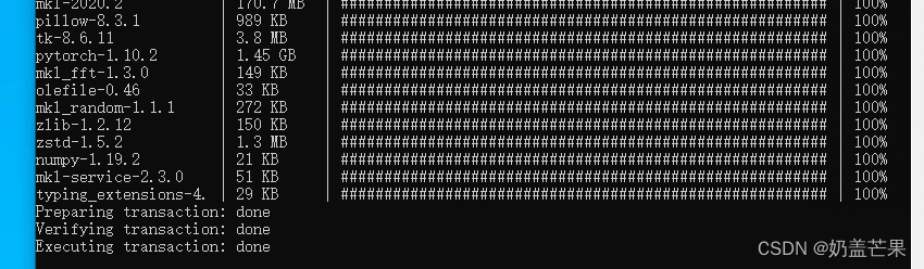 windows下安装pytorch1.10 （2022.6亲测可行）_pytorch1.10安装-CSDN博客