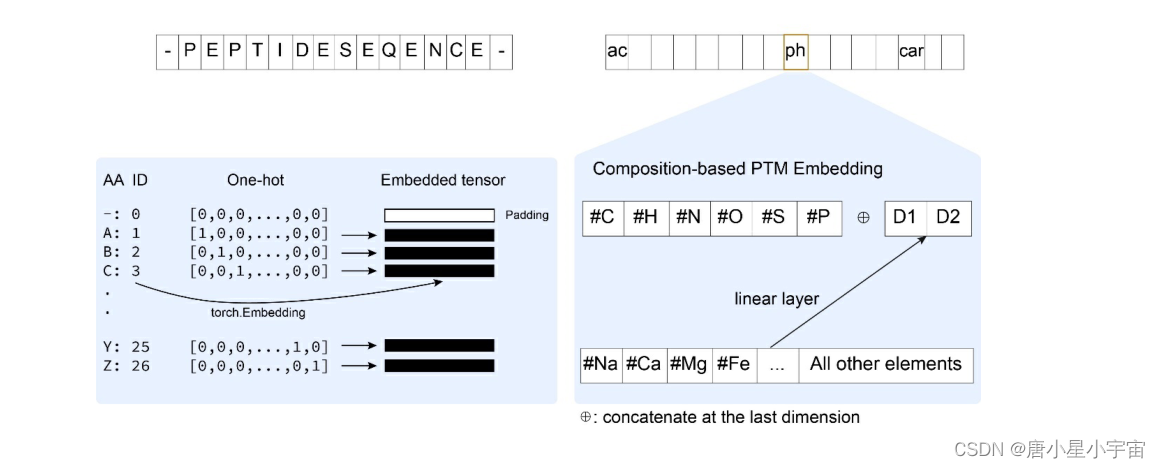 AlphaPeptDeep：用于预测蛋白质组学肽特性的模块化深度学习框架-CSDN博客