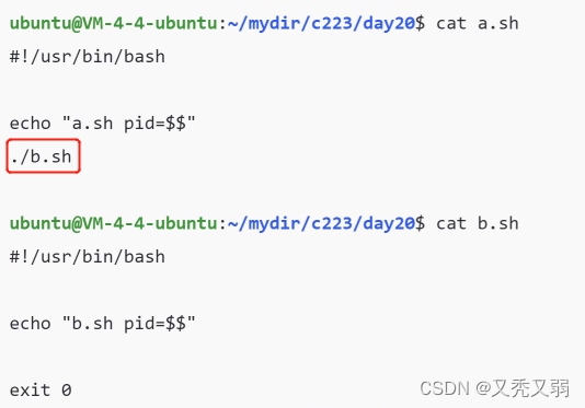 什么是shell?怎么编写脚本？怎么调用脚本？_shell脚本在哪里写-CSDN博客