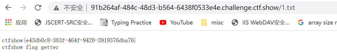 [ctfshow]web入门——命令执行（web72-web77）-CSDN博客