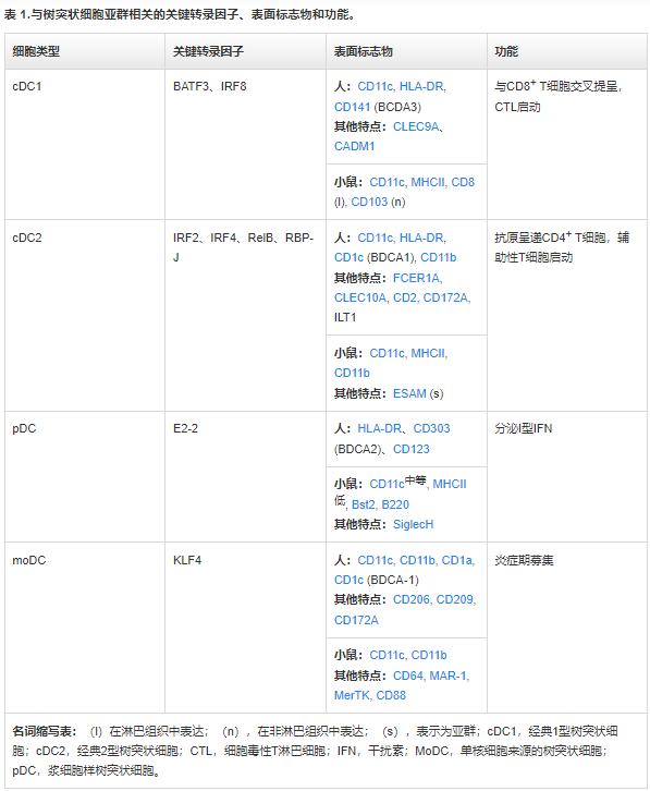 医学基础-免疫丨三种专职性APC的功能特点_一个apc可以呈递出一种还是多种抗原决定簇-CSDN博客