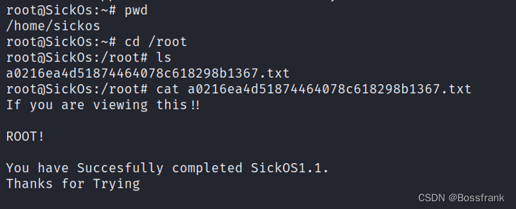 红队打靶：SickOS1.1详细打靶思路（vulnhub）-CSDN博客