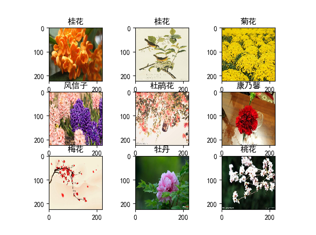 深度学习案例2：AlexNet网络识别14种鲜花_alexnet图片识别并用框显示出来-CSDN博客