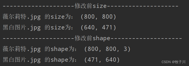 PIL 修改图片的尺寸、查看通道数----python_python图片三个通道的大小怎么看-CSDN博客
